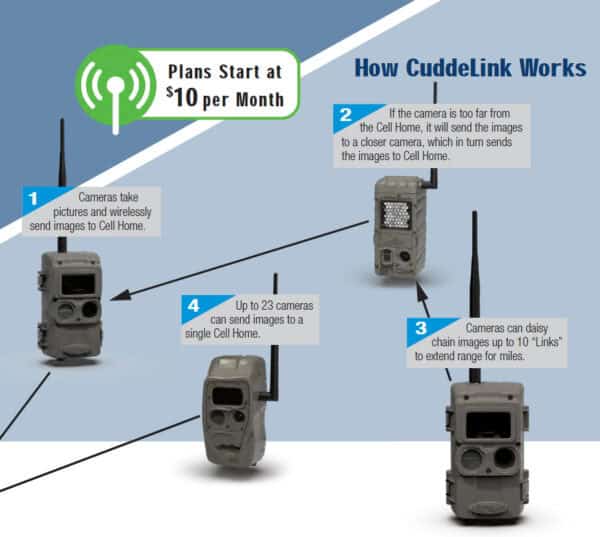 Cuddeback CuddeLink L Series IR Low Glo Camera LL-2A w/ SD Card ...